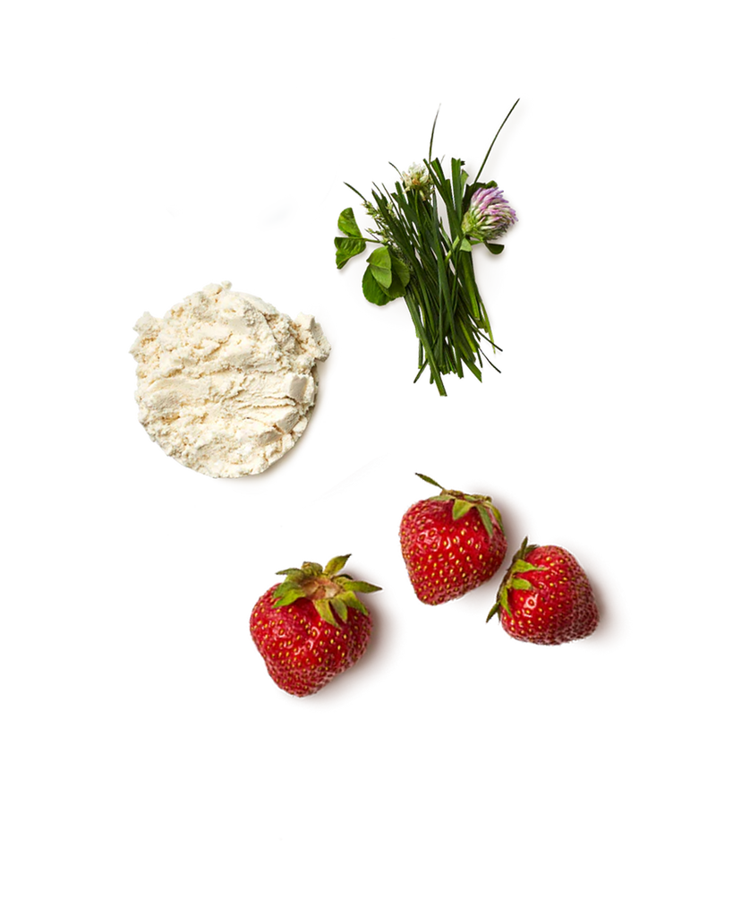 Strawberry Milk Whey Protein Isolate Powder | Promix Nutrition®